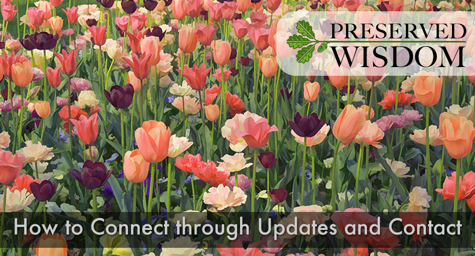Connect – Preserved Wisdom